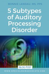 The 5 Subtypes of Auditory Processing Disorder | Special Mom Advocate